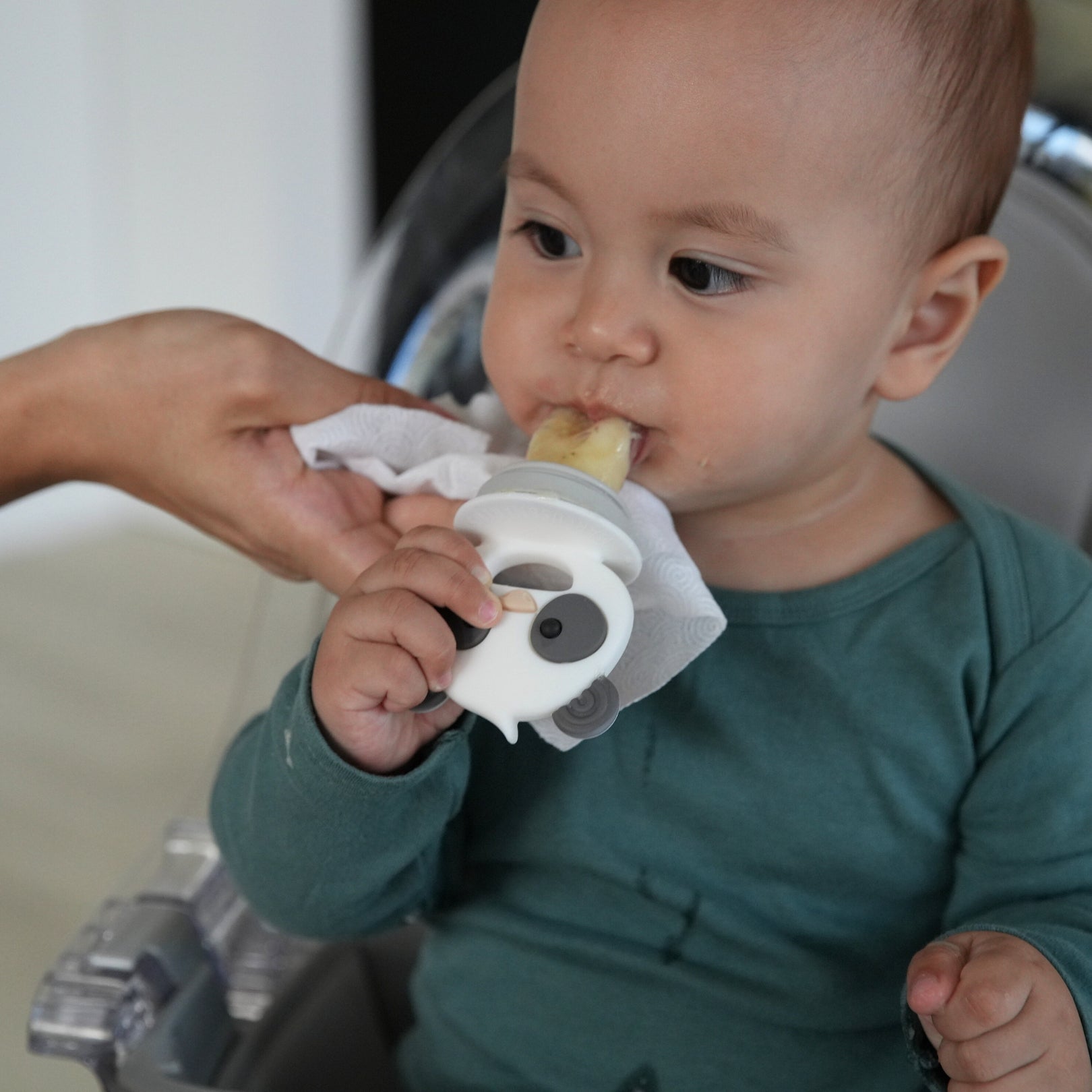 Marcus & Marcus Infant Fruit Feeder